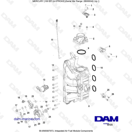 Mercury 100 EFI - Integrated Air Fuel Module Components - DAM Marine