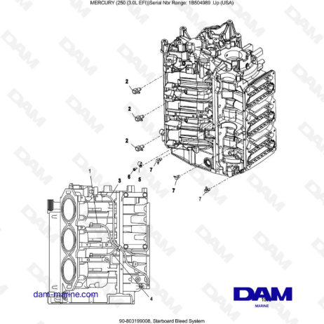 MERCURY 250 EFI 3.0L - Starboard Bleed System - DAM Marine