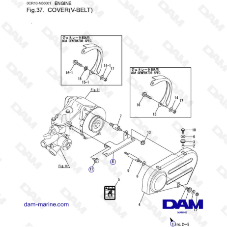 Yanmar 3YM30 - COVER (V-BELT) - DAM Marine