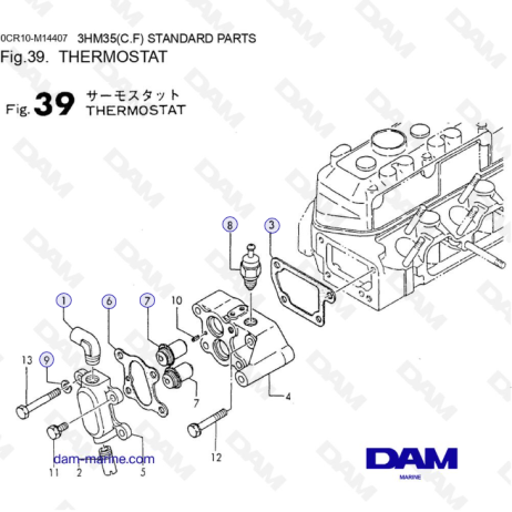 Yanmar 3HM35 - THERMOSTAT - DAM Marine