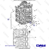 MERCURY 250 EFI 3.0L - Port Bleed System